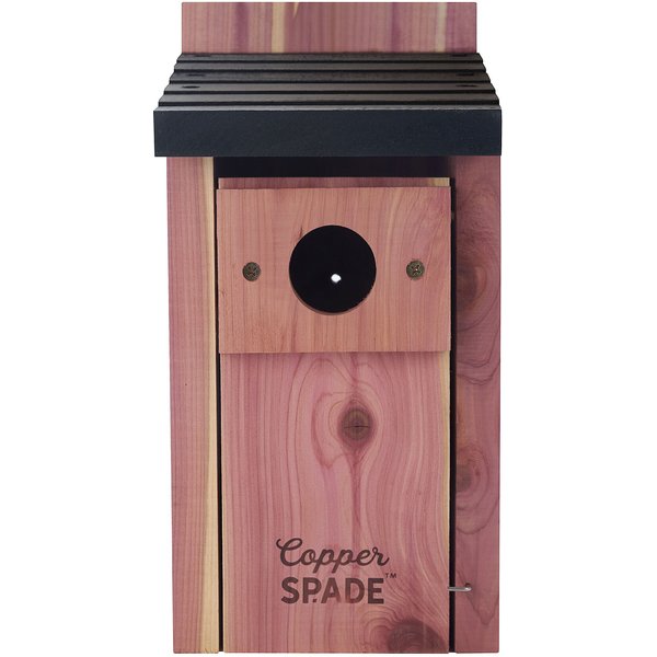 COPPER SPADE Cedar Bluebird Bird House - Chewy.com