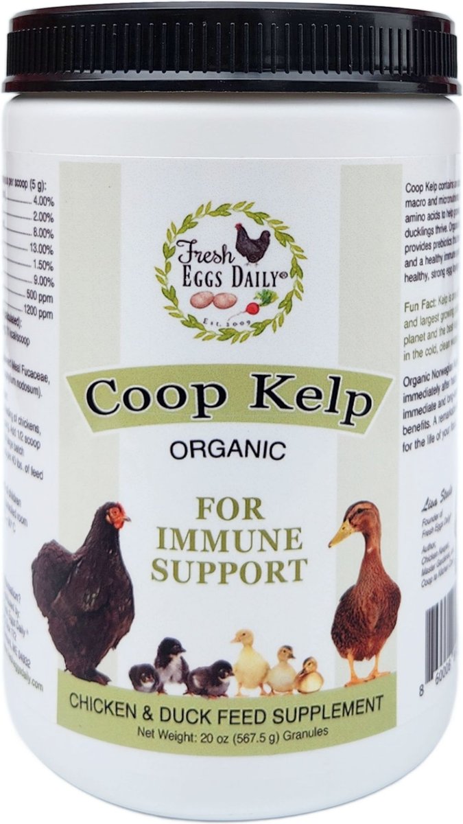 FRESH EGGS DAILY Coop Kelp Organic Chicken & Duck Supplement, 16-oz jar ...