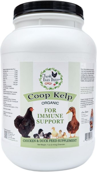 FRESH EGGS DAILY Coop Kelp Organic Chicken & Duck Supplement, 7-lb jar ...