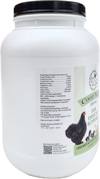 FRESH EGGS DAILY Coop Kelp Organic Chicken & Duck Supplement, 7-lb jar ...