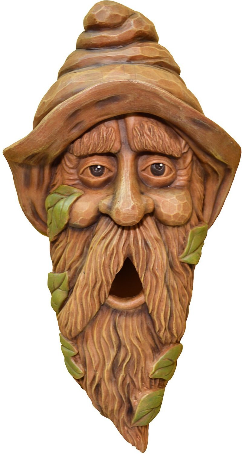 RED CARPET STUDIOS Long Hank Face Bird House - Chewy.com