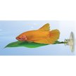 ZOO MED Betta Bed Leaf Fish Hammock, Large - Chewy.com