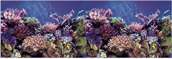 Vepotek Double Sided Fish Aquarium Background Ocean Seabed Coral