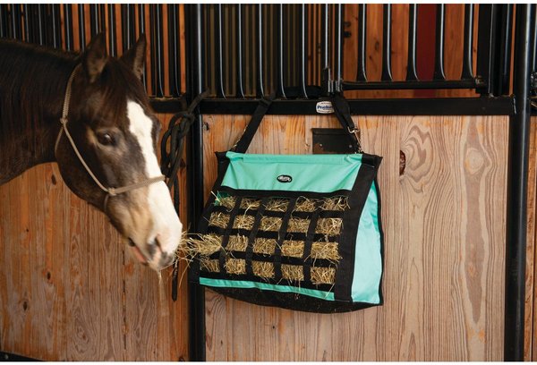 WEAVER LEATHER Slow Feed Horse Hay Bag, Mint - Chewy.com