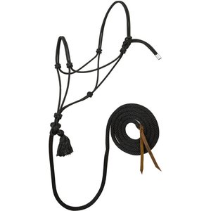 WEAVER LEATHER Silvertip No. 95 Rope Horse Halter & 10-ft Lead, Teal ...