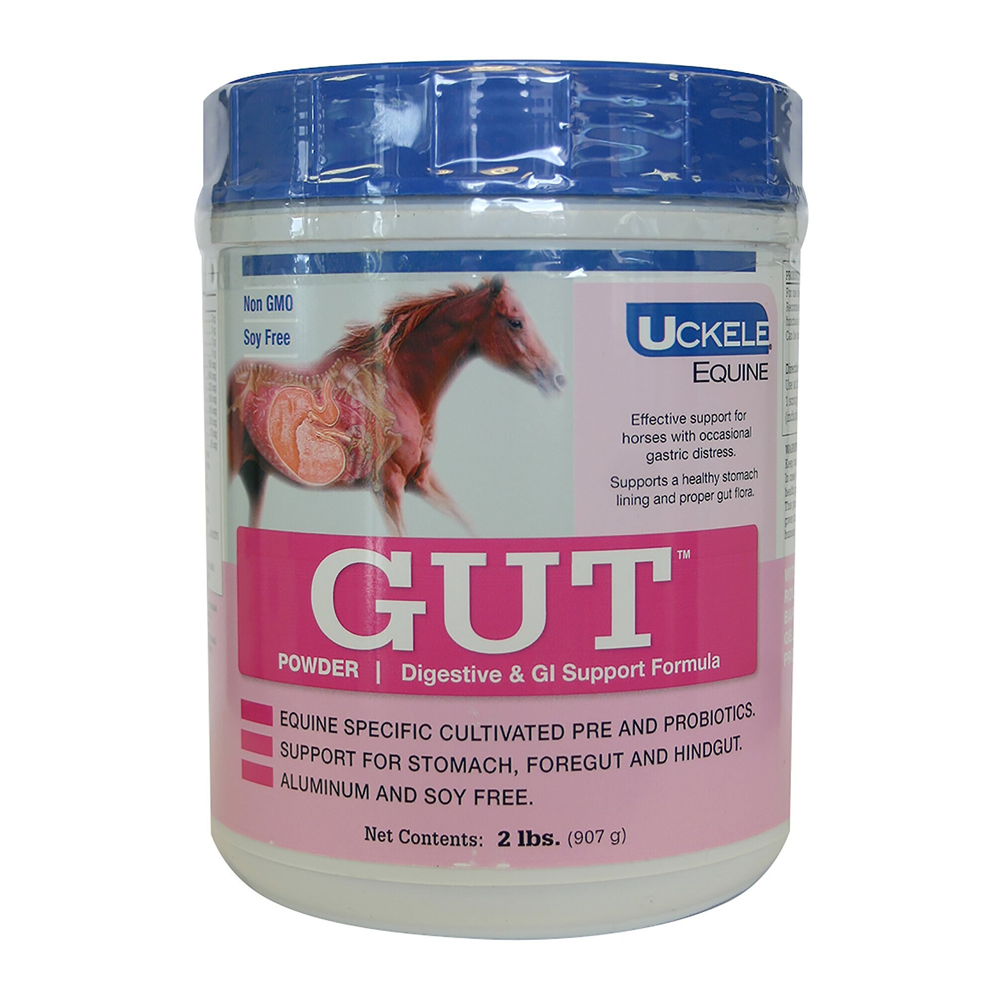 Questions and Answers about UCKELE Gut Digestive & GI Support Formula ...