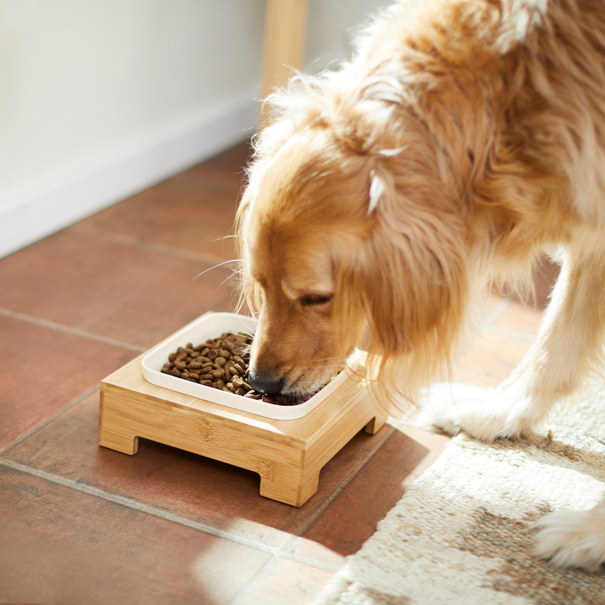 FRISCO Square Melamine Dog & Cat Bowl with Bamboo Stand, 5 cup, 1 count ...