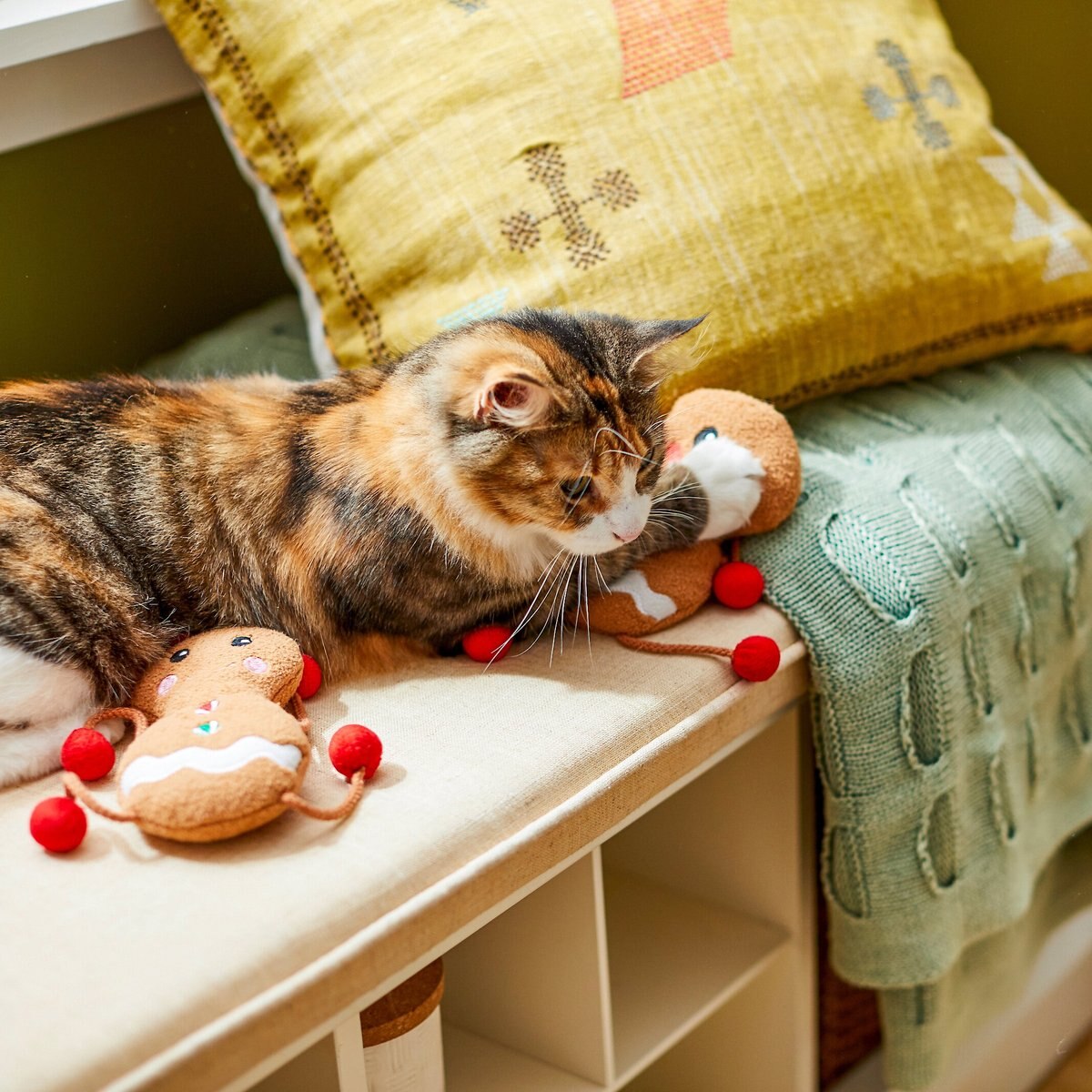 Out of Stock - FRISCO Holiday Gingerbread Pals Plush Kicker Cat Toy ...