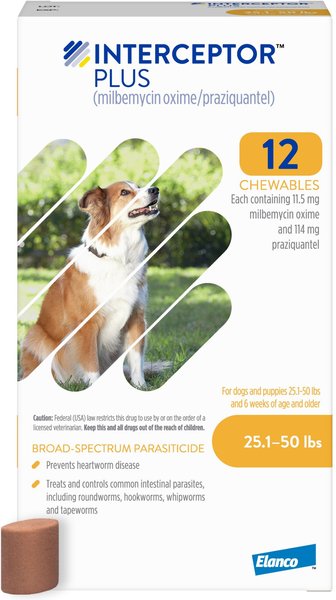 INTERCEPTOR PLUS Chew for Dogs, 25.1-50 lbs, (Yellow Box), 12 Chews (12 ...