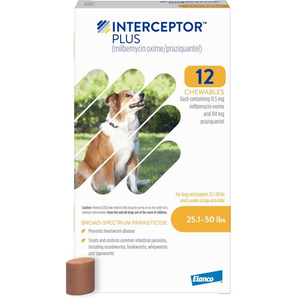 INTERCEPTOR PLUS Chew for Dogs, 25.1-50 lbs, (Yellow Box), 12 Chews (12 ...