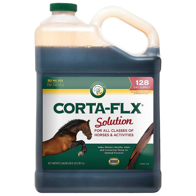 CORTA-FLX Solution Joint & Connective Tissue Support Horse Supplement, 1-gal bottle - Chewy.com
