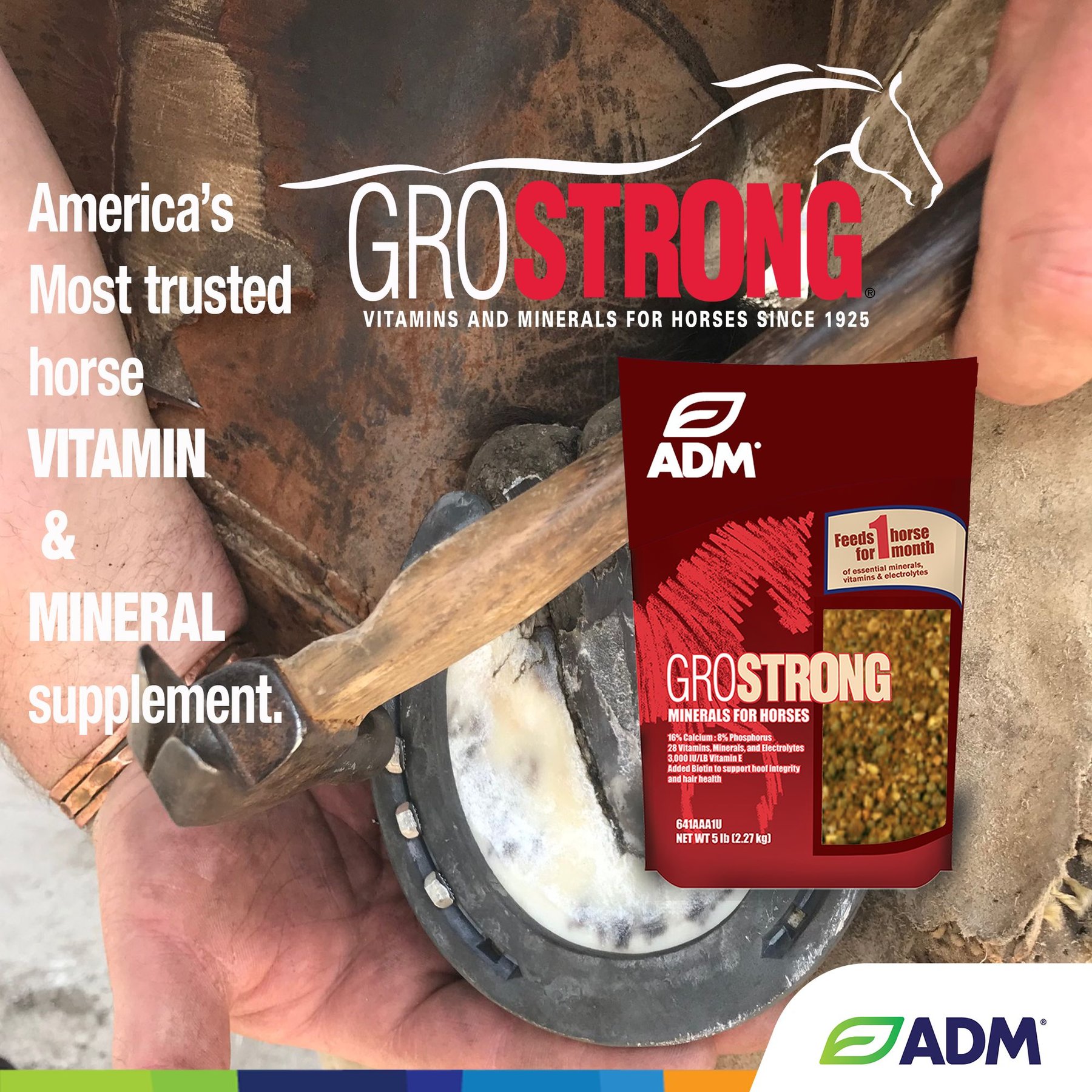 ADM GROSTRONG Granules Horse Supplement, 5-lb bag - Chewy.com