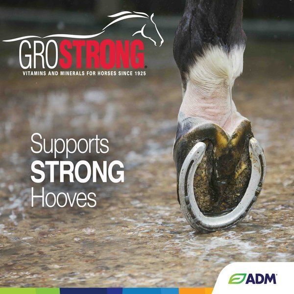 ADM GROSTRONG Granules Horse Supplement, 5-lb bag - Chewy.com