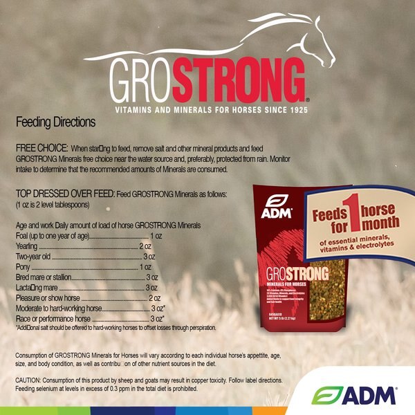 ADM GROSTRONG Granules Horse Supplement, 5-lb bag - Chewy.com