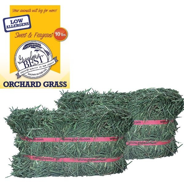 GRANDPA'S BEST Timothy Hay Small Pet Food, 5-lb mini bale - Chewy.com