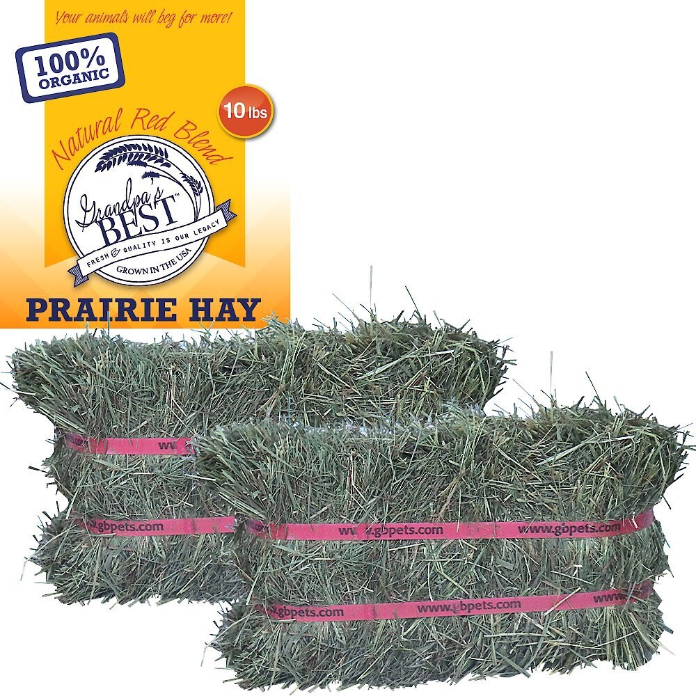 GRANDPA'S BEST Prairie Hay 100% Certified Organic Small Pet Food, 5-lb ...