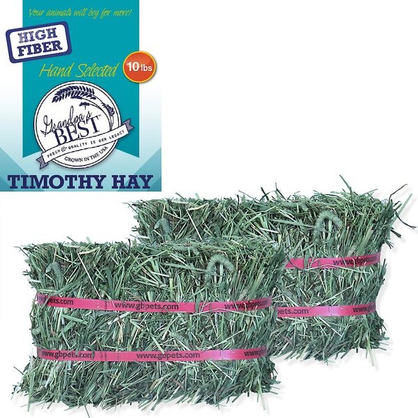 OXBOW Orchard Grass Hay Small Animal Food, 40-oz bag, bundle of 2 ...