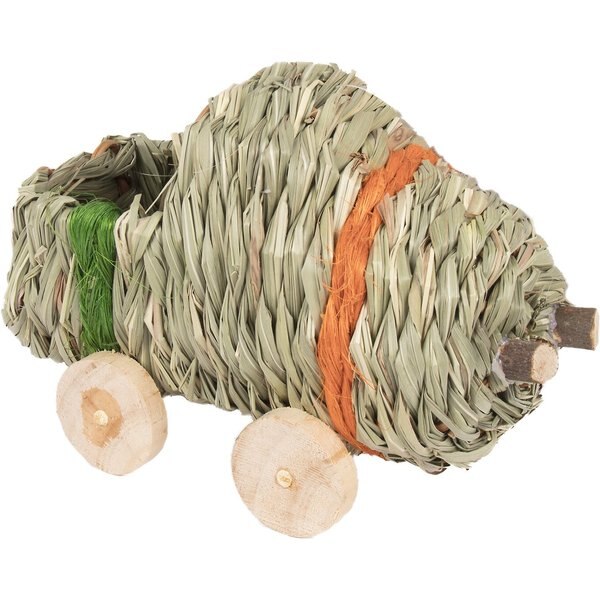 LIXIT Critter Space Pod Small Animal Hideout, Small - Chewy.com