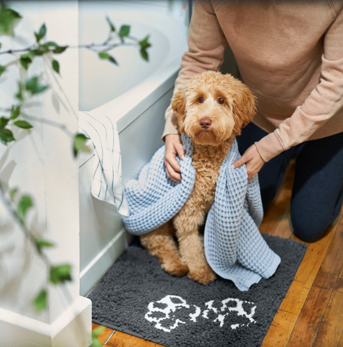 FRISCO Microfiber Chenille Paw Print Mat, Small/Medium - Chewy.com