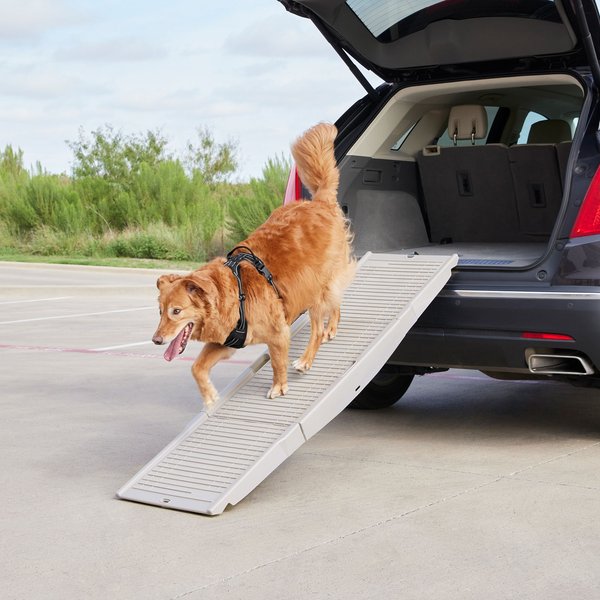 FRISCO Tri-Fold Travel Dog Car Ramp, Gray - Chewy.com