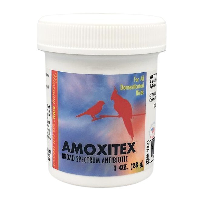 Questions and Answers about MORNING BIRD Amoxitex Broad Spectrum ...