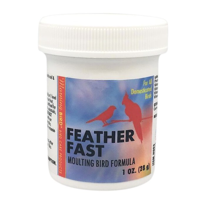 Questions And Answers About Morning Bird Feather Fast Moulting Bird Formula Bird Supplement 