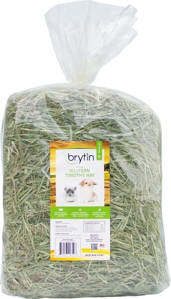 BRYTIN 1st Cutting All-Natural Western Timothy Hay Chinchilla Food, 96 ...
