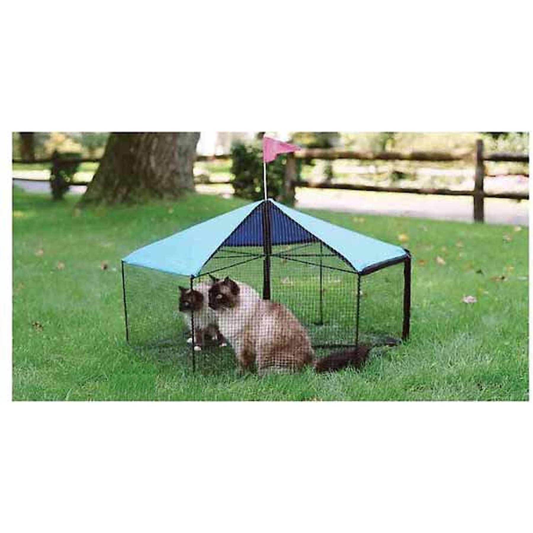 Temporarily Unavailable - KITTYWALK Carousel Outdoor Cat Playpen ...