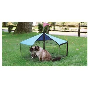 KITTYWALK Carousel Outdoor Cat Playpen - Chewy.com