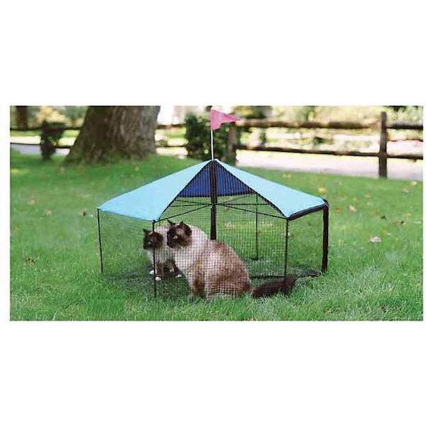 KITTYWALK Carousel Outdoor Cat Playpen - Chewy.com