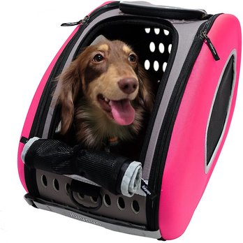 Pink Dog Stroller (Free Shipping) | Chewy