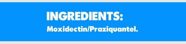 QUEST PLUS Gel Dewormer & Boticide for Horses & Ponies, 0.5-fl oz ...