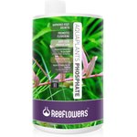 API CO2 Booster Freshwater Aquarium Plant Care Treatment, 16-oz bottle ...