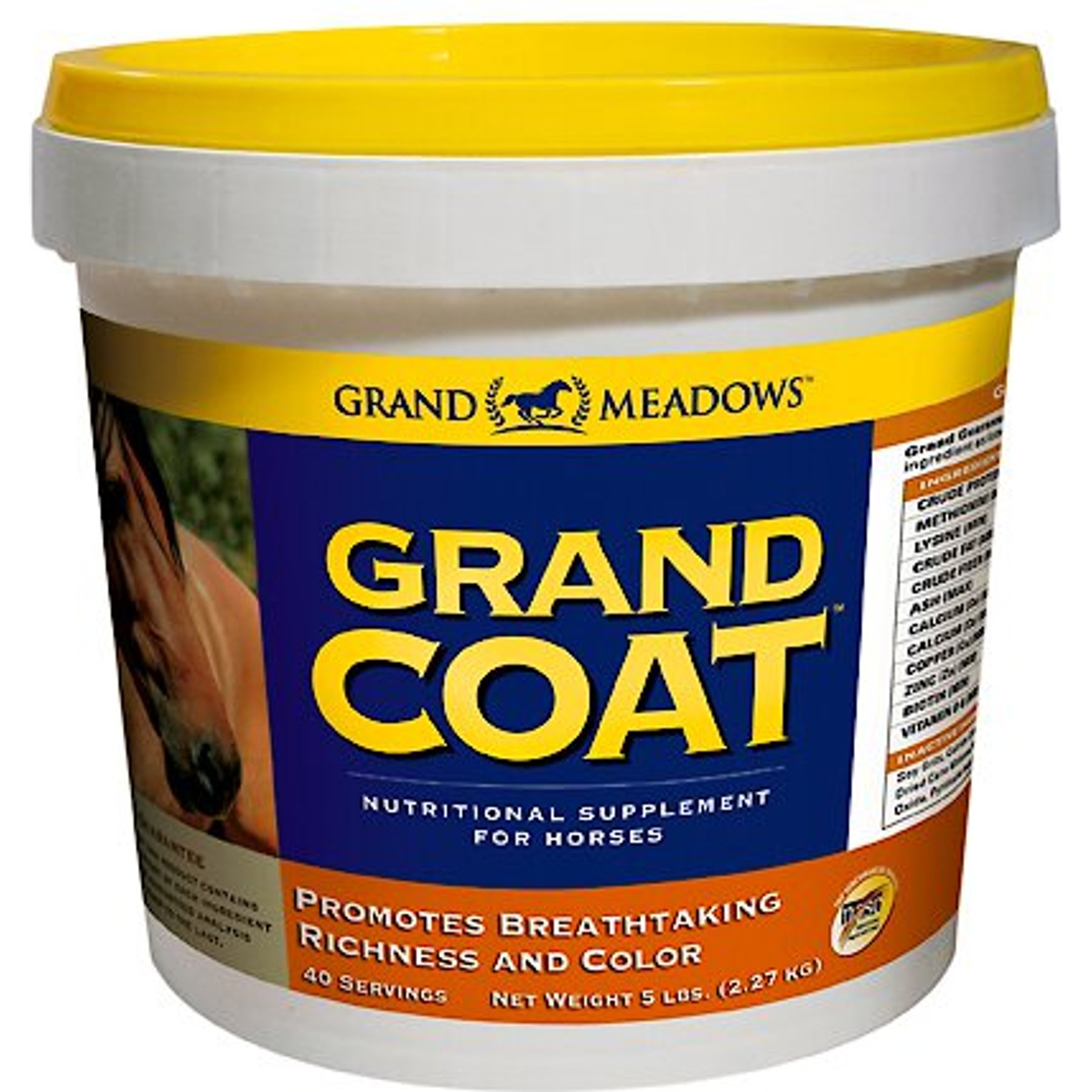 GRAND MEADOWS Grand Coat Nutritional Powder Horse Supplement, 5-lb tub ...