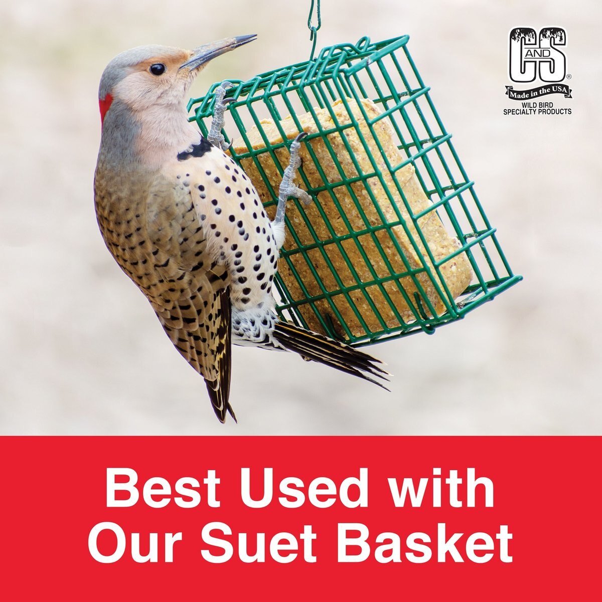 C&S Woodpecker Treat Suet Wild Bird Food, case of 12 - Chewy.com