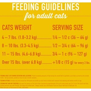 10 Best Premium Dry Cat Foods 2024: According to Reviews | Chewy