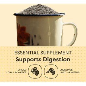 10 Best Chicken Vitamins & Supplements 2024: According to Reviews | Chewy