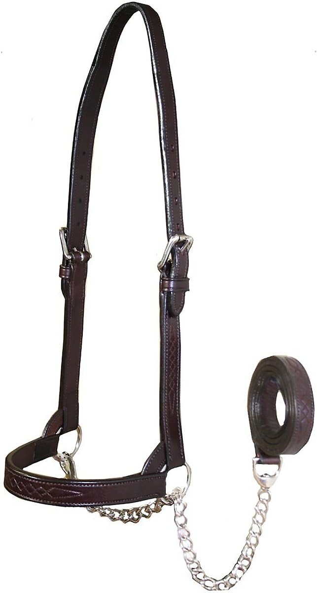 DERBY ORIGINALS Premium Flat Fancy Stitch Leather Cattle Show Halter ...