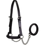 DERBY ORIGINALS Premium Round Rolled Leather Cattle Show Halter & Chain ...