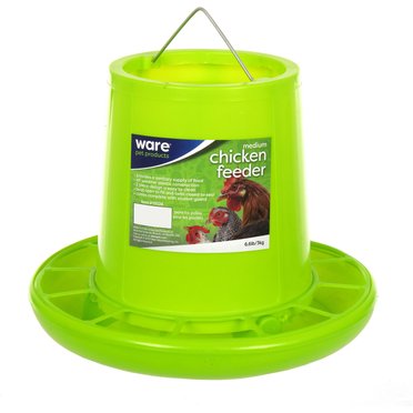 Chicken & Poultry Feeders - Page 2 (Free Shipping) | Chewy