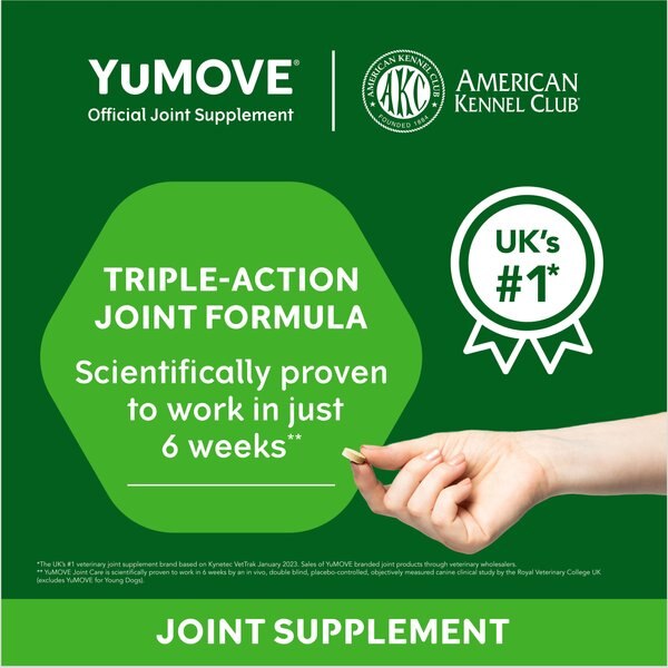VETNIQUE LABS YuMOVE Mobility Hip & Joint Care Chewable Tablet ...