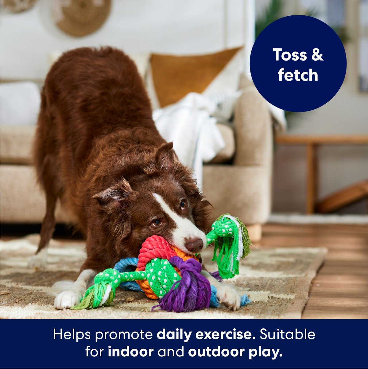 FRISCO Fetch Colorful Ball Knot Rope Dog Toy, Large/X-Large - Chewy.com