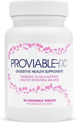 NUTRAMAX Proviable Chewable Tablet Digestive Health Supplement for Dogs ...