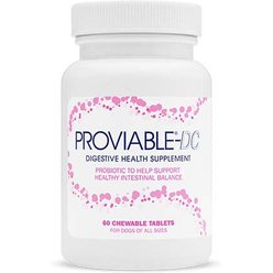 Nutramax Proviable - Free shipping | Chewy