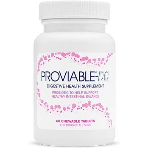 Nutramax Proviable - Free shipping | Chewy