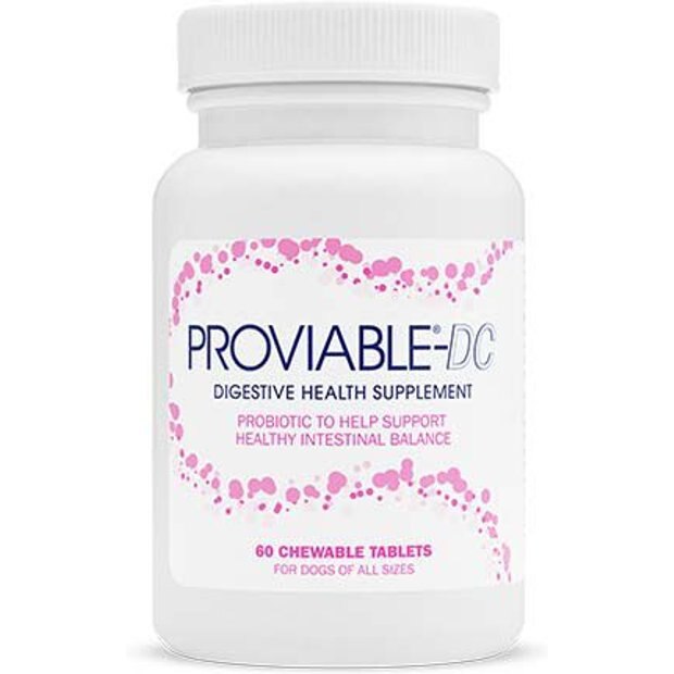 Nutramax Proviable - Free shipping | Chewy