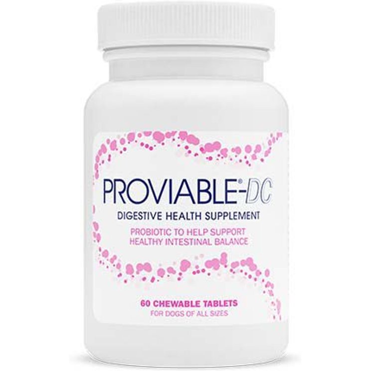 Nutramax Proviable - Free shipping | Chewy