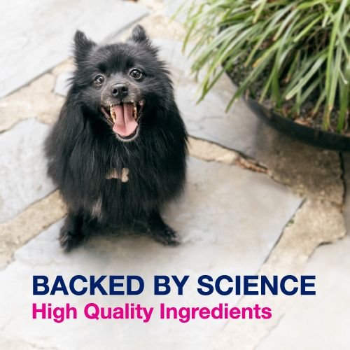 NUTRAMAX Proviable Chewable Tablet Digestive Supplement for Dogs, 60 ...