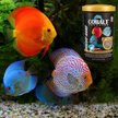 COBALT AQUATICS Discus Hans Flake Fish Food, 5-oz bottle - Chewy.com