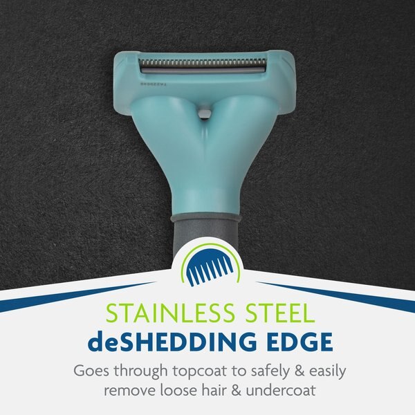 FURMINATOR Short Hair Cat Deshedding Tool, Turquoise, Small - Chewy.com